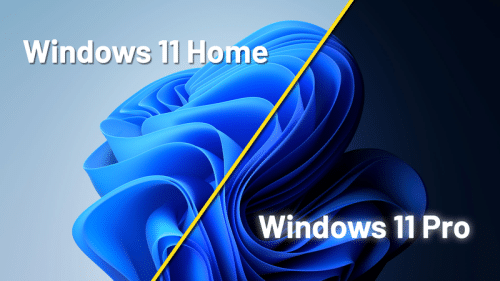 Differenza tra Windows 11 Home e Pro: Cosa Scegliere? | PCrig